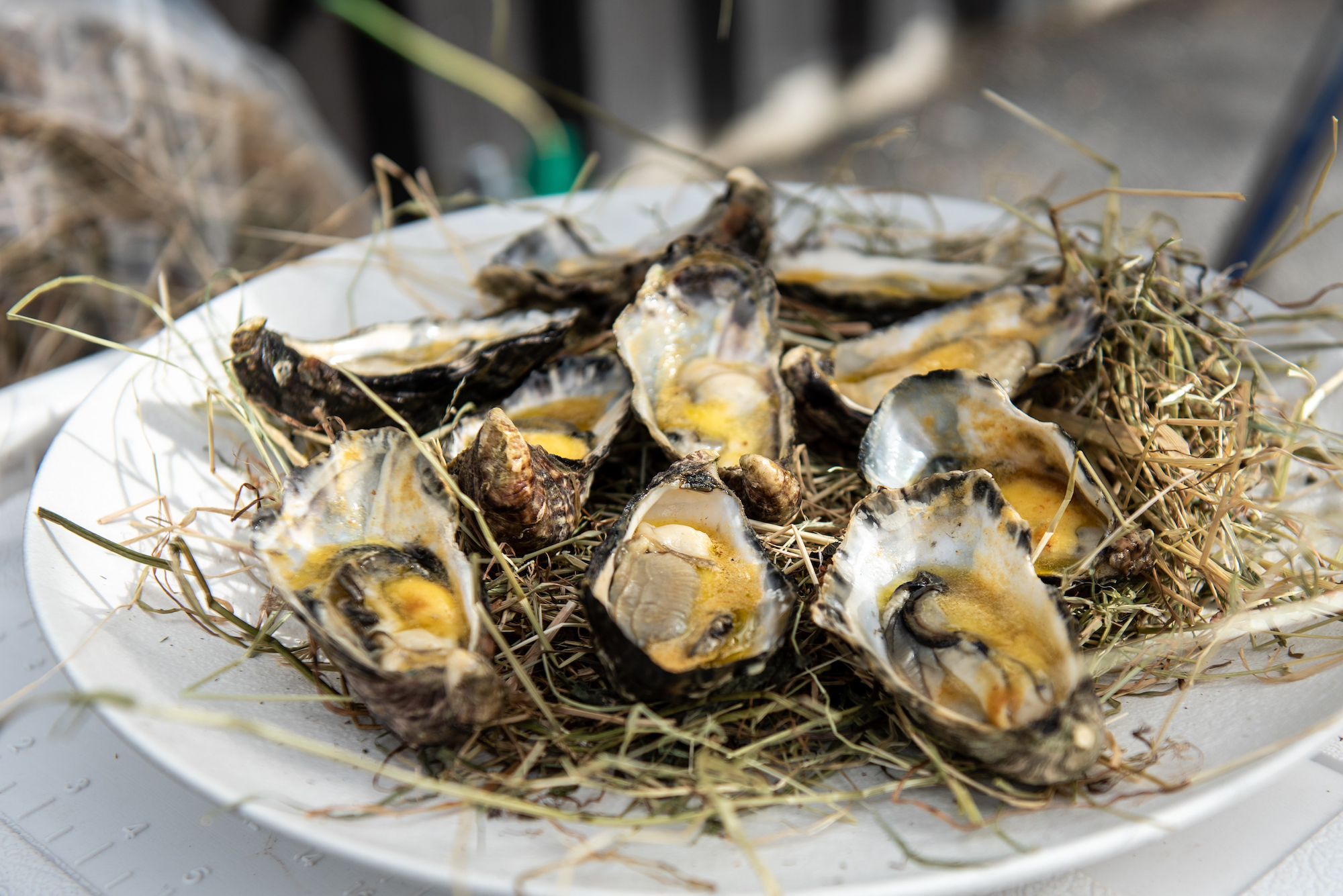 The Luxury Network New Zealand Welcomes Des Harris Private Chef - The ...